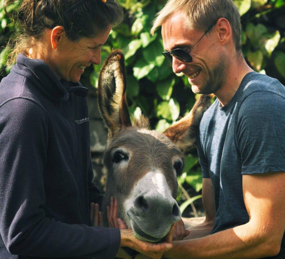 Experiences | Donkeys & Friends